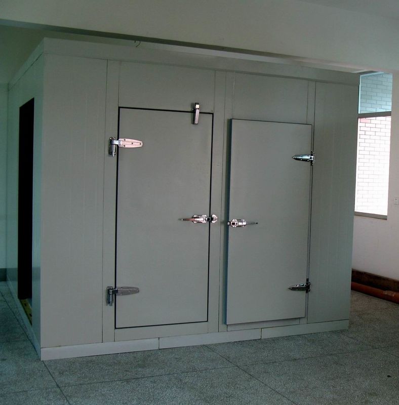 Ice Cream / Frozen Food Cold Storage Room With Swing Door , Copeland ...