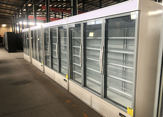 Vertical Plug In Display Freezing Cabinets R290 With Glass Doors